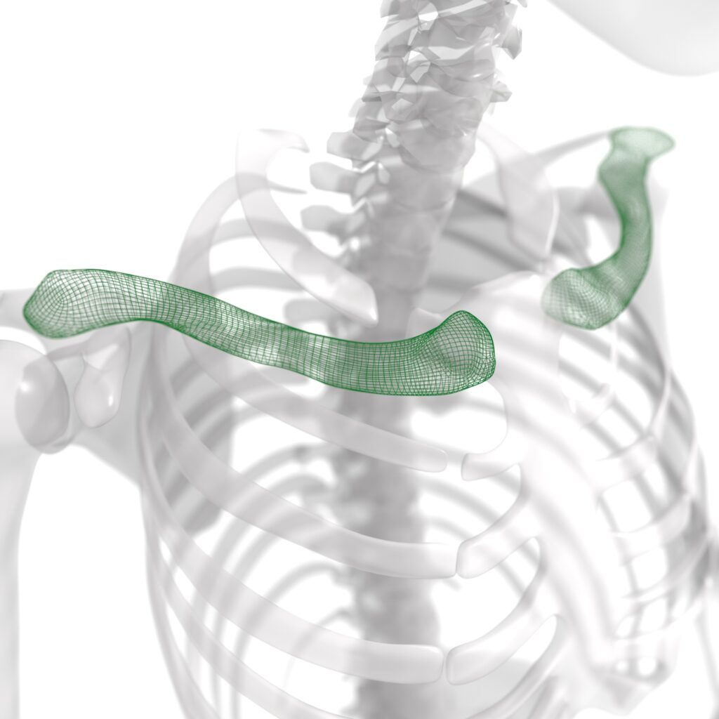 Königsee Implantate - Debramedix